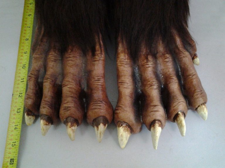 Deluxe Werewolf Feet - Screamers Costumes